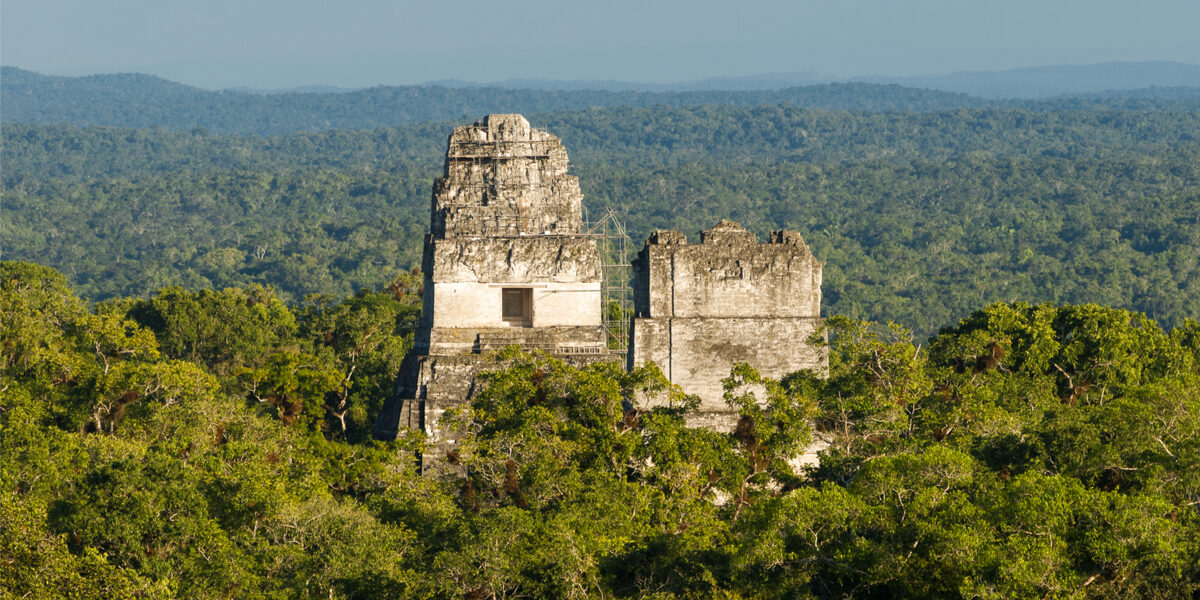 Discover All that the Maya Biosphere Reserve Has to Offer - Mansion ...