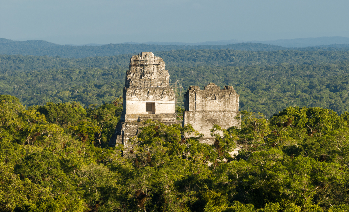 Discover All that the Maya Biosphere Reserve Has to Offer - Mansion ...