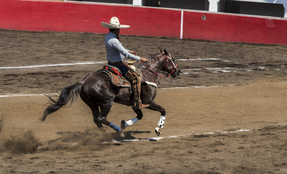 Learn All About the Charrería: An Amazing Mexican Tradition - Mansion ...